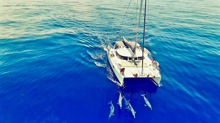Tuamotu Croisière Catamaran - Tahiti