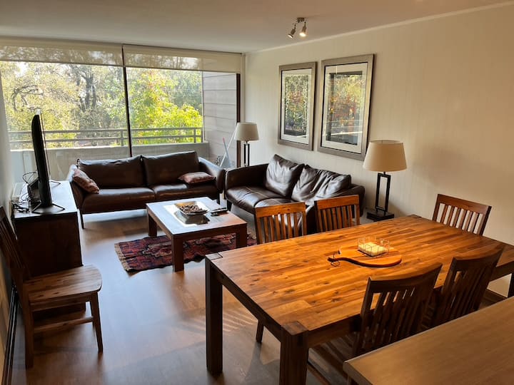 Departamento Amplio Y Acogedor Costa Pucón. - Pucón