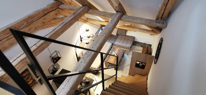 Loft In Historischem Gebäude - Vienne