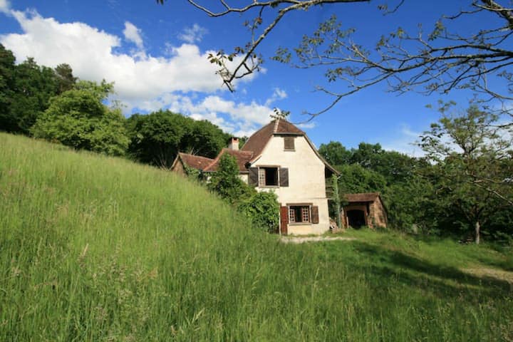 La Dancie En Pleine Nature - Corrèze