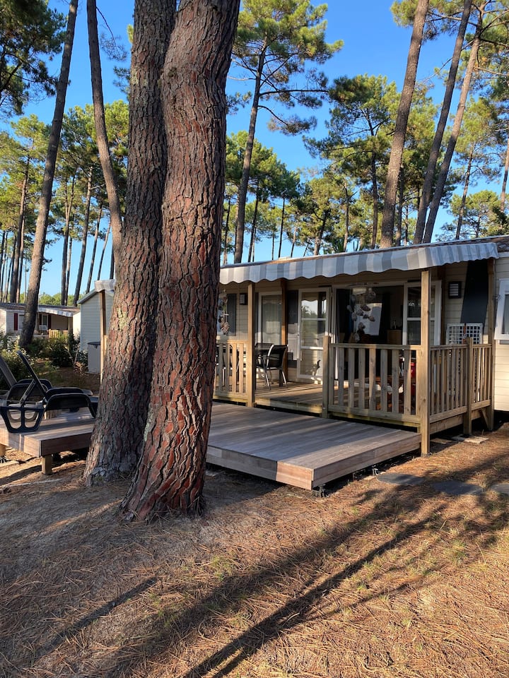Bungalow Quatre ÉToiles - Saint-Julien-en-Born