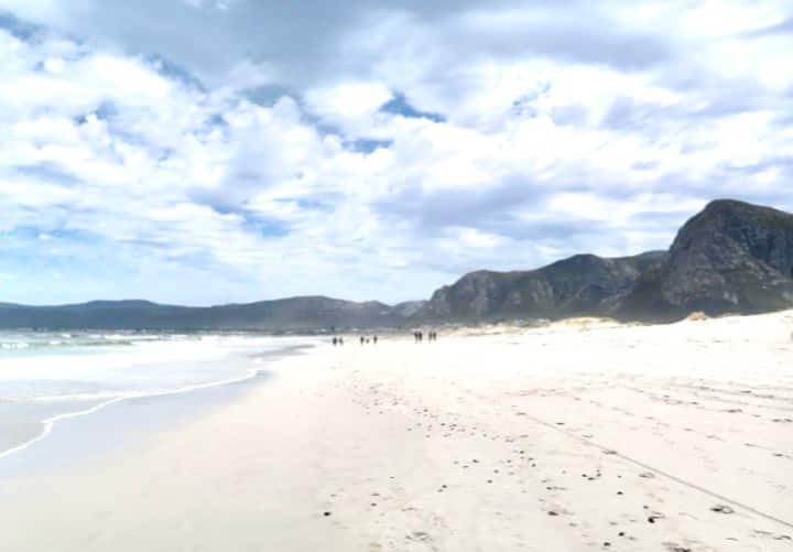 Hermanus* Peaceful* Relaxing Equipped Home/holiday - 허머너스
