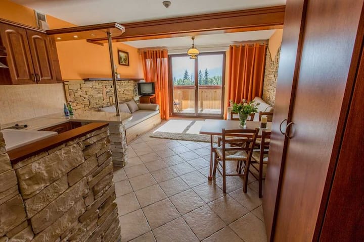 Apart Serwis Apartament Górski W Widokiem Na Tatry - Zakopane