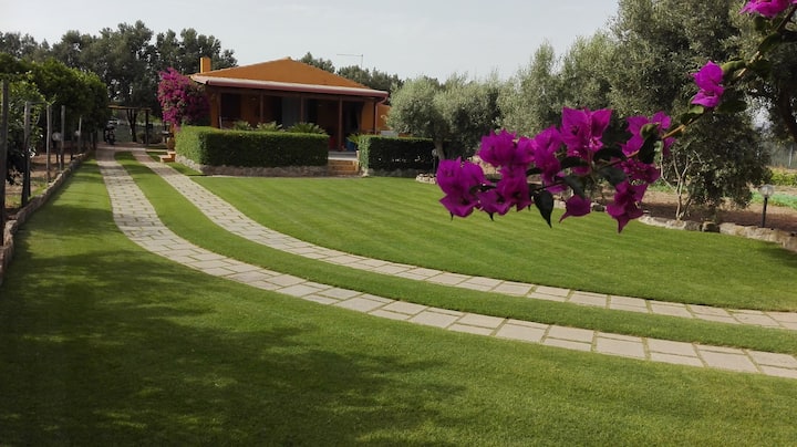 Villetta Isola Sant'antioco Cin It111071c2000p7011 - Sant'Antioco