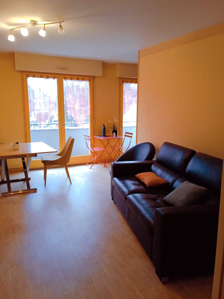 Le Célestre - Appartement Spacieux Avec Parking - Rennes