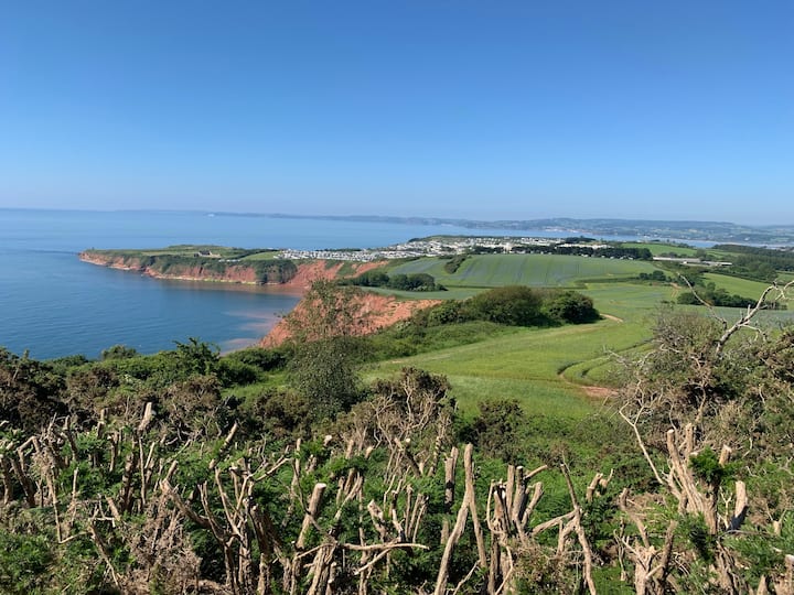 Spacious Home On Jurassic Coast - Budleigh Salterton