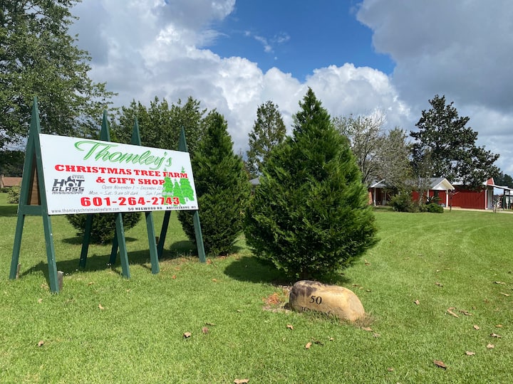 Top 10 Ranches To Stay In Mississippi, USA - Updated 2025 | Trip101