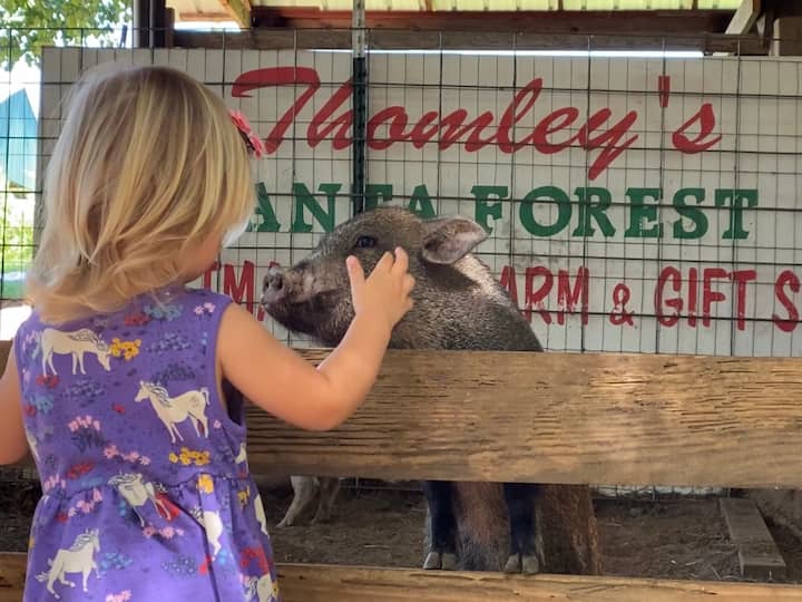 Top 10 Ranches To Stay In Mississippi, USA - Updated 2025 | Trip101