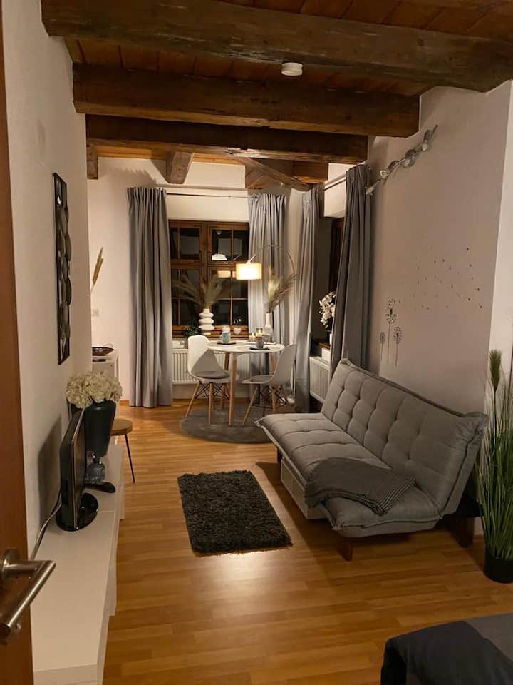 Apartment 5 "Ulmer Mitte" - Ulm