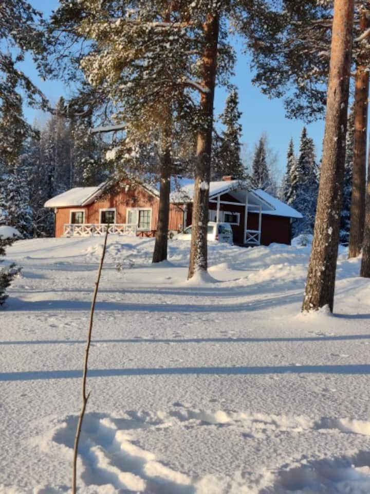 Koivikkoniemessä Luonto On Lähellä - Rovaniemi