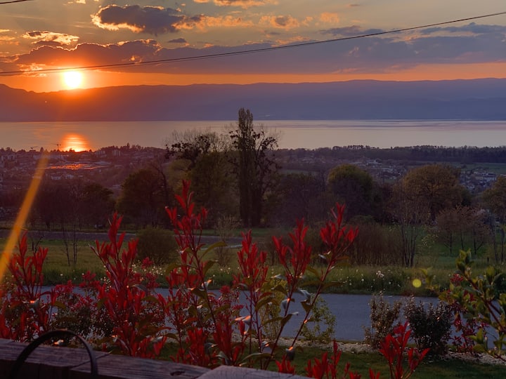 Ravissant Appt- Vue Lac- Terrasse Attenante - Thonon-les-Bains