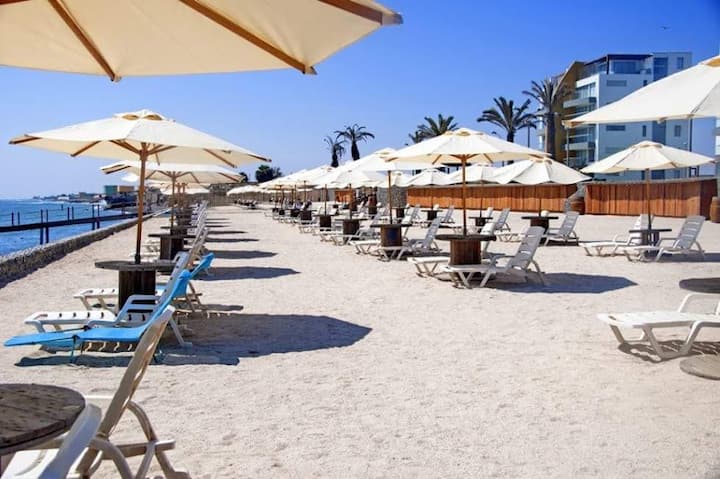 Paracas Te Espera! - Pisco