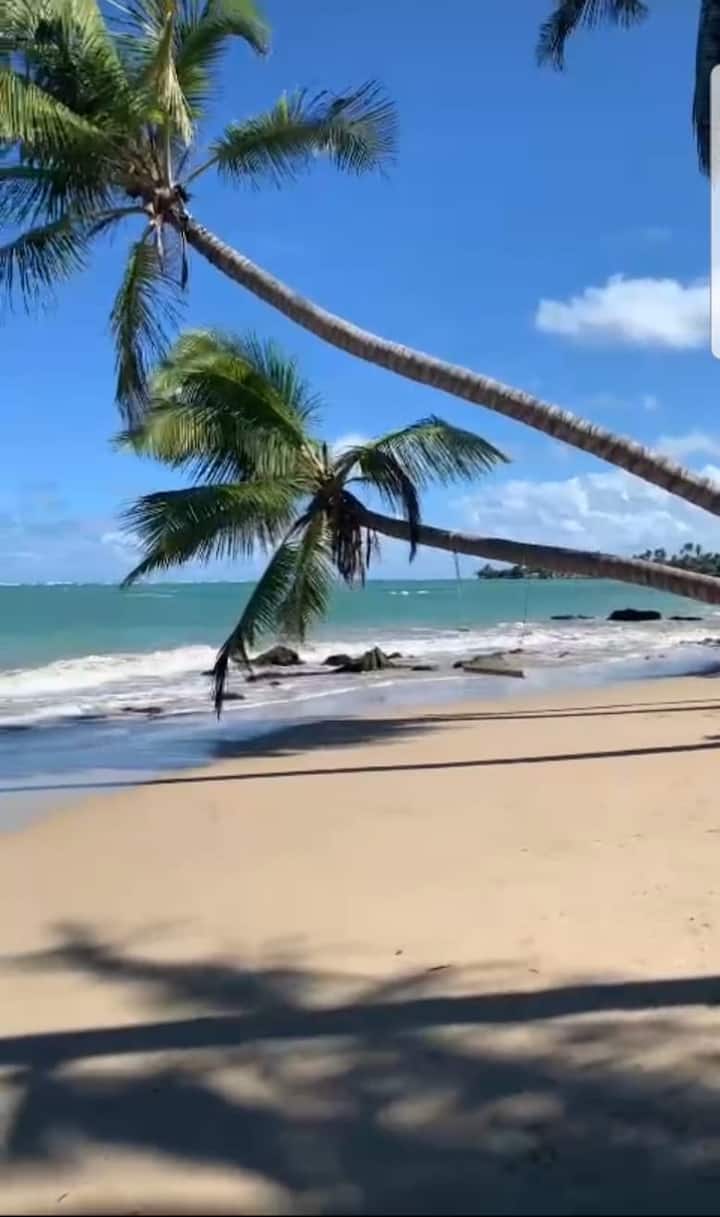 Beautiful Beach Access Apartment! - Puerto Rico