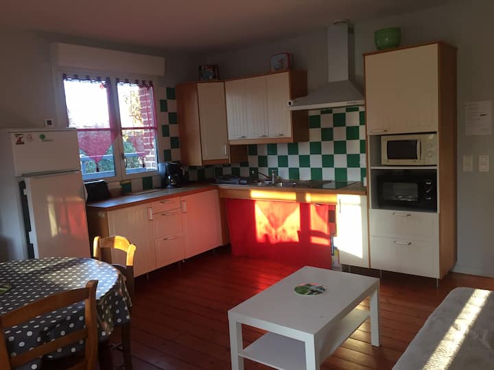 2- Charmant Logement Tout Confort Avec Terrasse - Saint-Amand-les-Eaux