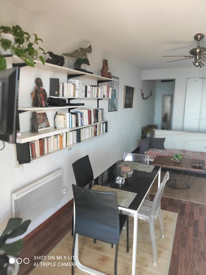 Bel Appartement Aux Sanguinaire Très Belle Vue Mer - Ajaccio