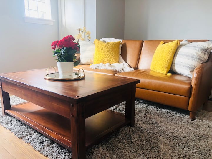 Bright, Beautiful & Updated 1 Bedroom 1 Bath - St. Louis, MO