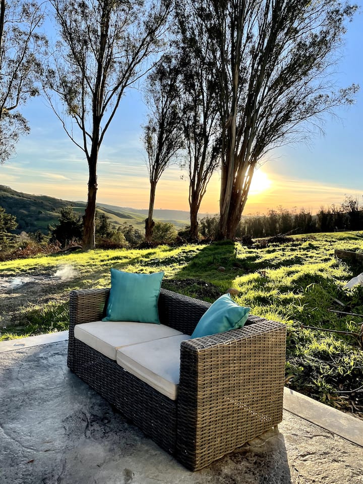 Unique Petaluma Country Retreat - Sebastopol, CA