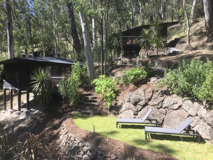 Qdos Arts Treehouse In The  Otway Forest - Lorne