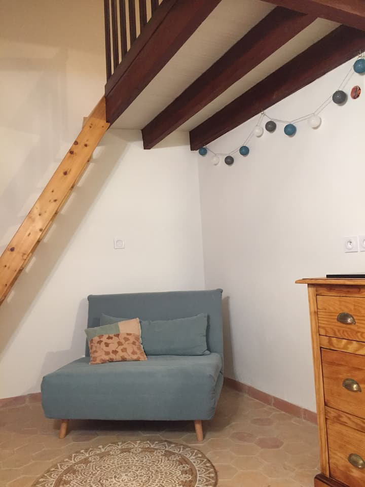 Charmante Guest House - Toulouse