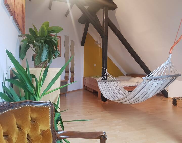 Historische Hostelvilla - "Dachstube" - Koblenz