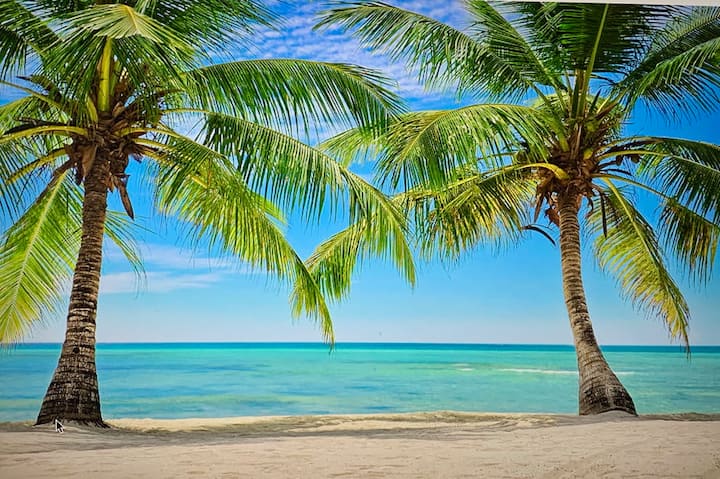 Venice Island Tropical Oasis W Pool & Spa - Venice, FL