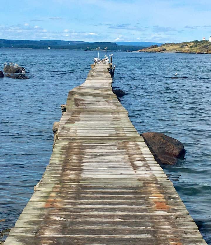 Opplev Lyden Og Lukten Av Sjø! - Moss