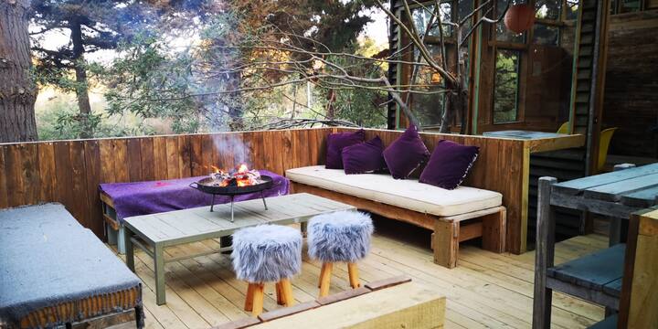 Beautiful Cabin In The Woods - Zapallar