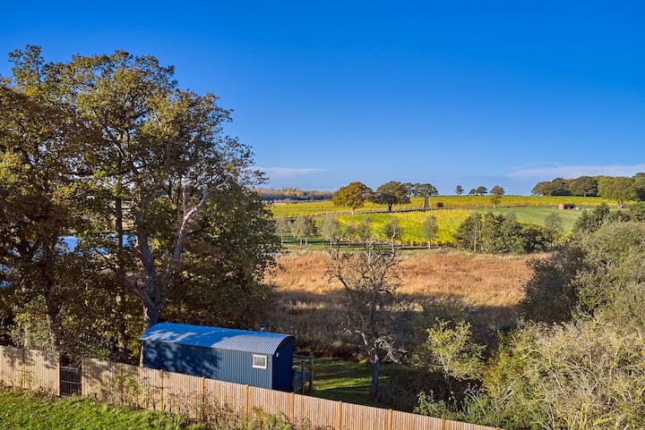 Shepherds Hut For Two Adults Overlooking Vineyard - Mersea Island
