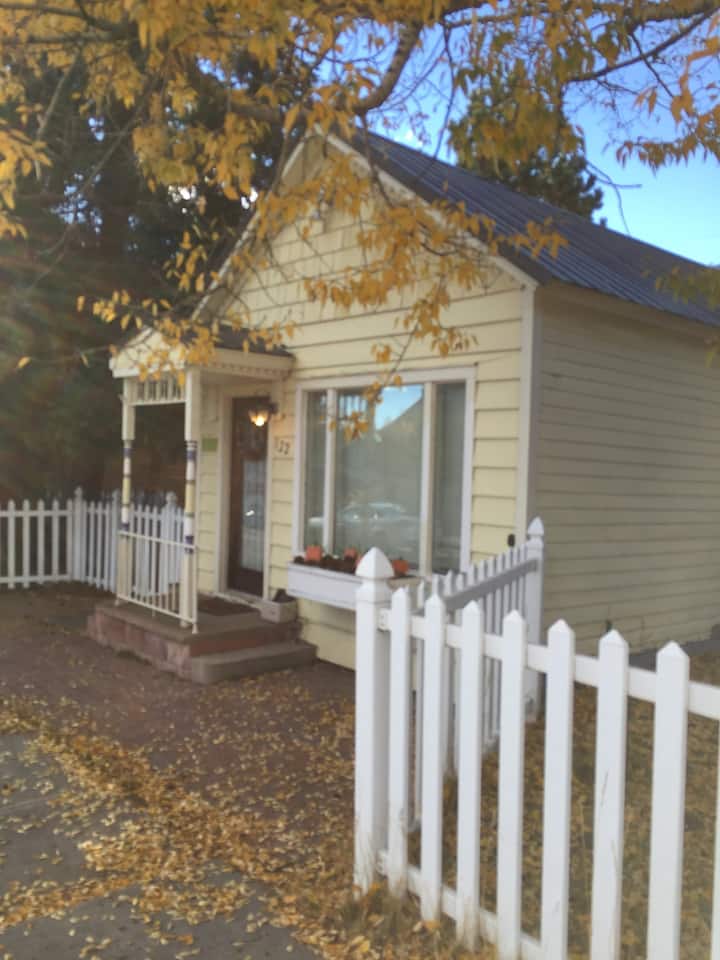 The Mountain House - In Town! (Summer - Sleeps 10) - Leadville, CO