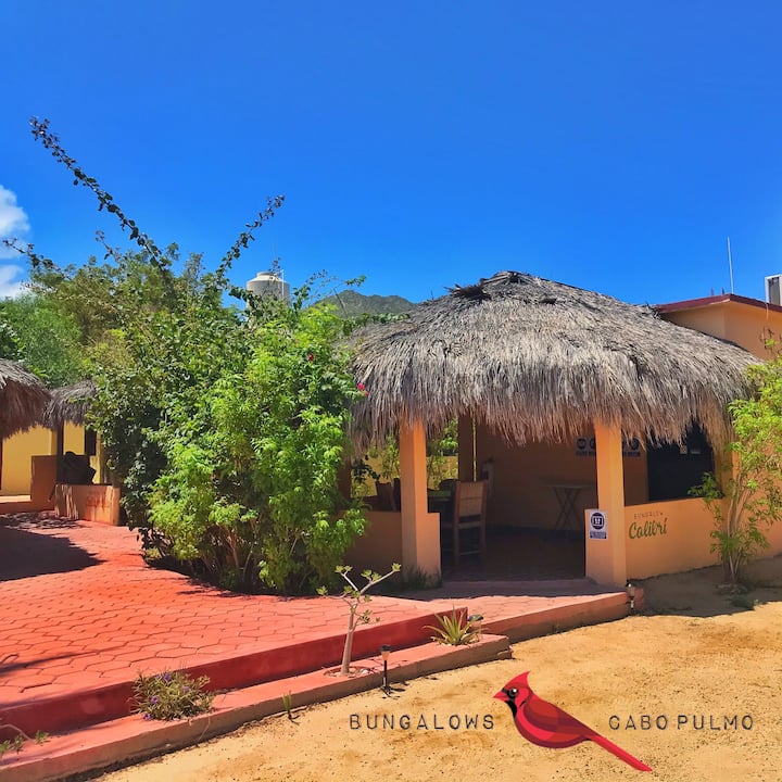 Bungalow Colibrí - Cabo Pulmo National Park