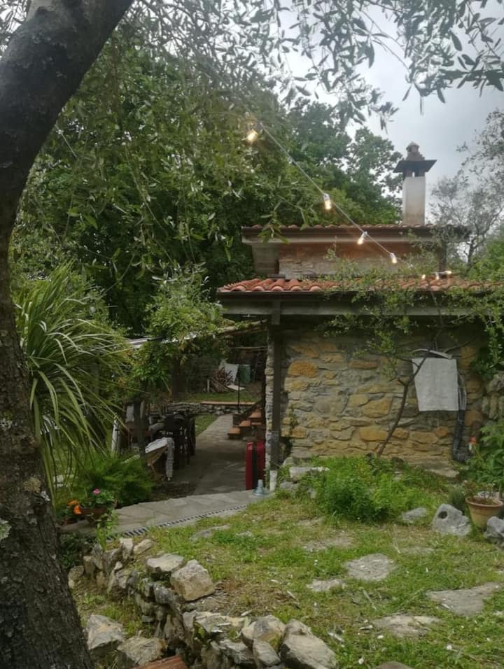 Iris House...born To Be Wild🌺🌸 - Lerici