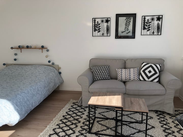 Beau Studio Rénové Proche De Genève - Gaillard
