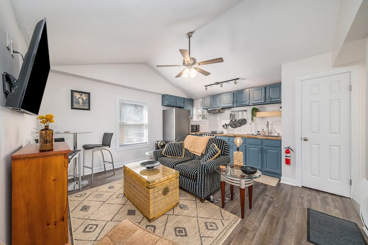 Eclectic 1 Br Apt Near Wmu East Campus & Wmu Med - Kalamazoo, MI