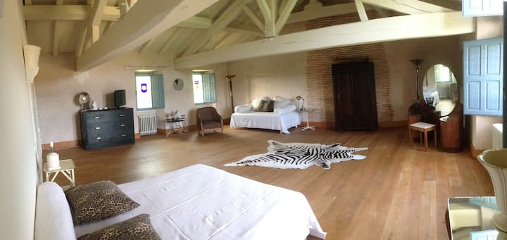 Château De Cauderoue -B&b-suite Art-déco - Nérac