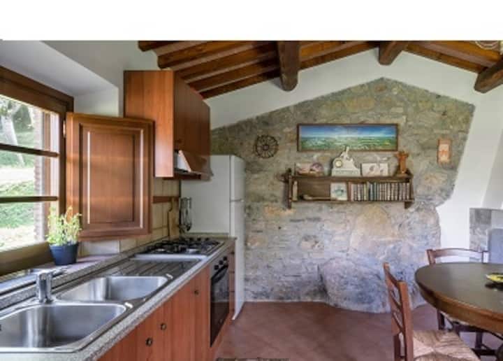 Radice ( Alloggio Con Cucina E Bagno Privati) - Province de Lucques