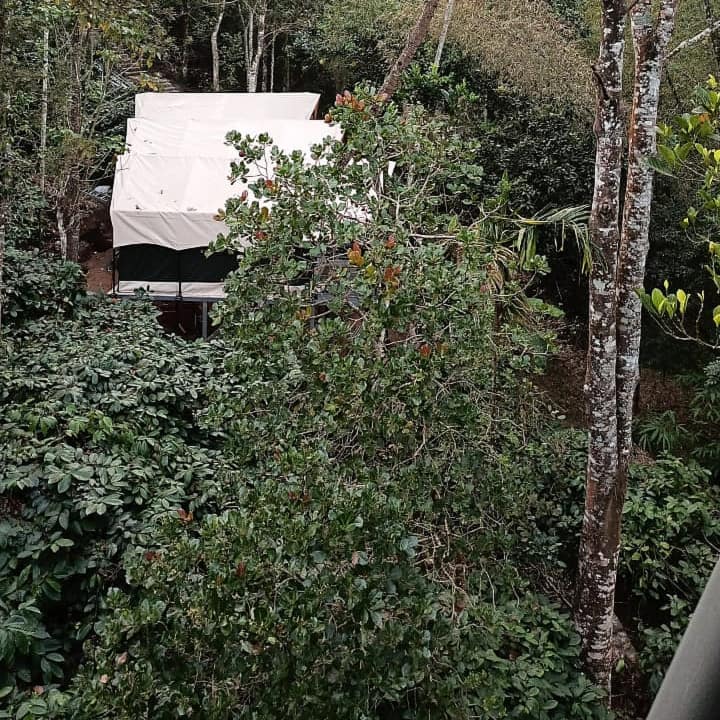 Ultra Luxuary Tent Cottage With Natural Pool - Munnar