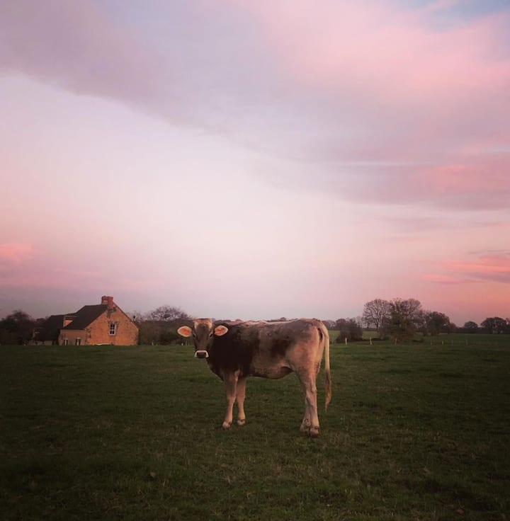 Les Petites Mares - Bellême