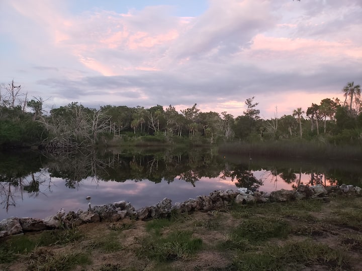 Best Views On Mason Creek With A Boat Dock - Homosassa, FL