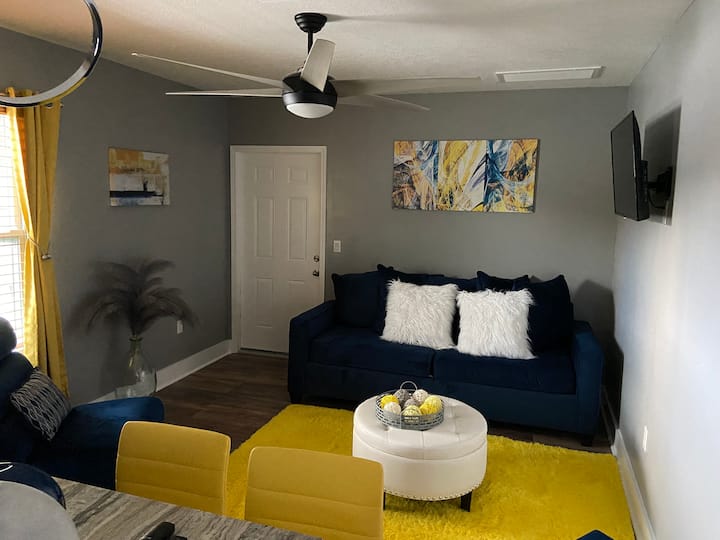 New 1 Bed 1 Bath Luxury Apt Near Downtown/beach - Saint Petersburg, FL