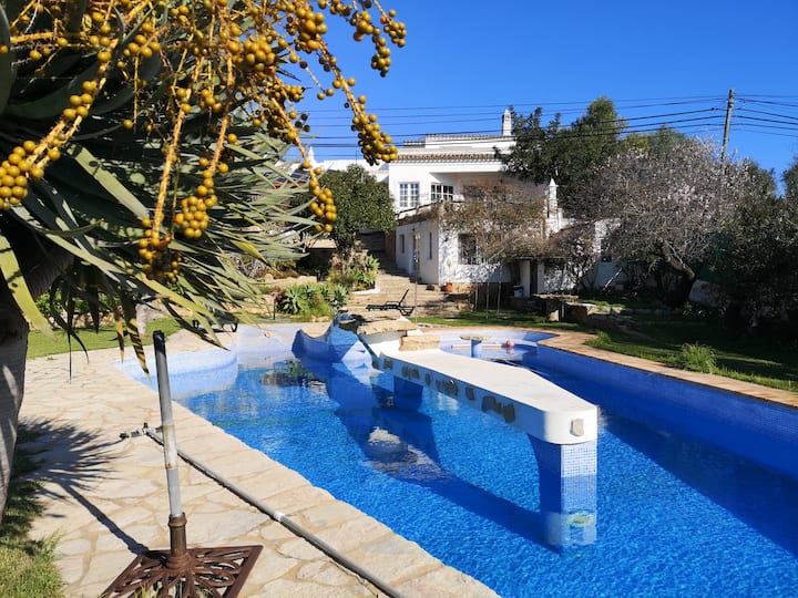 Apartamento T0 Com Acesso Direto à Piscina - Olhão