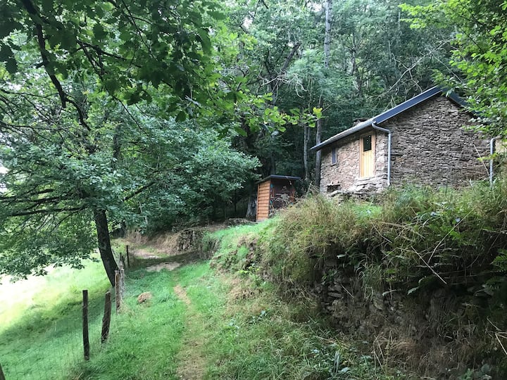 Viala Du Tarn : Le Refuge D'hector - Salles-Curan
