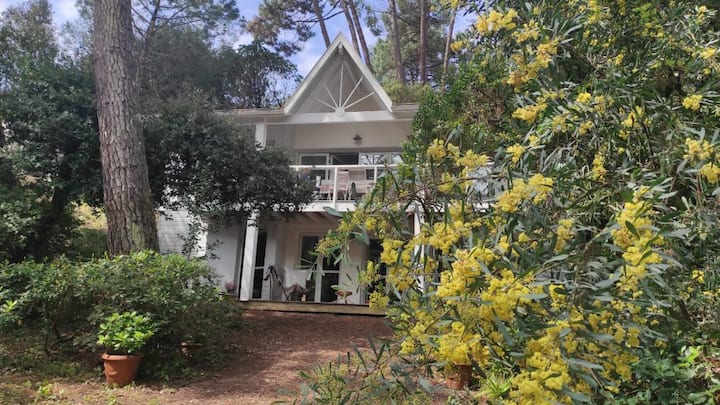 Villa Style Arcachonnaise Au Cap Ferret - L'herbe - Le Phare du Cap Ferret