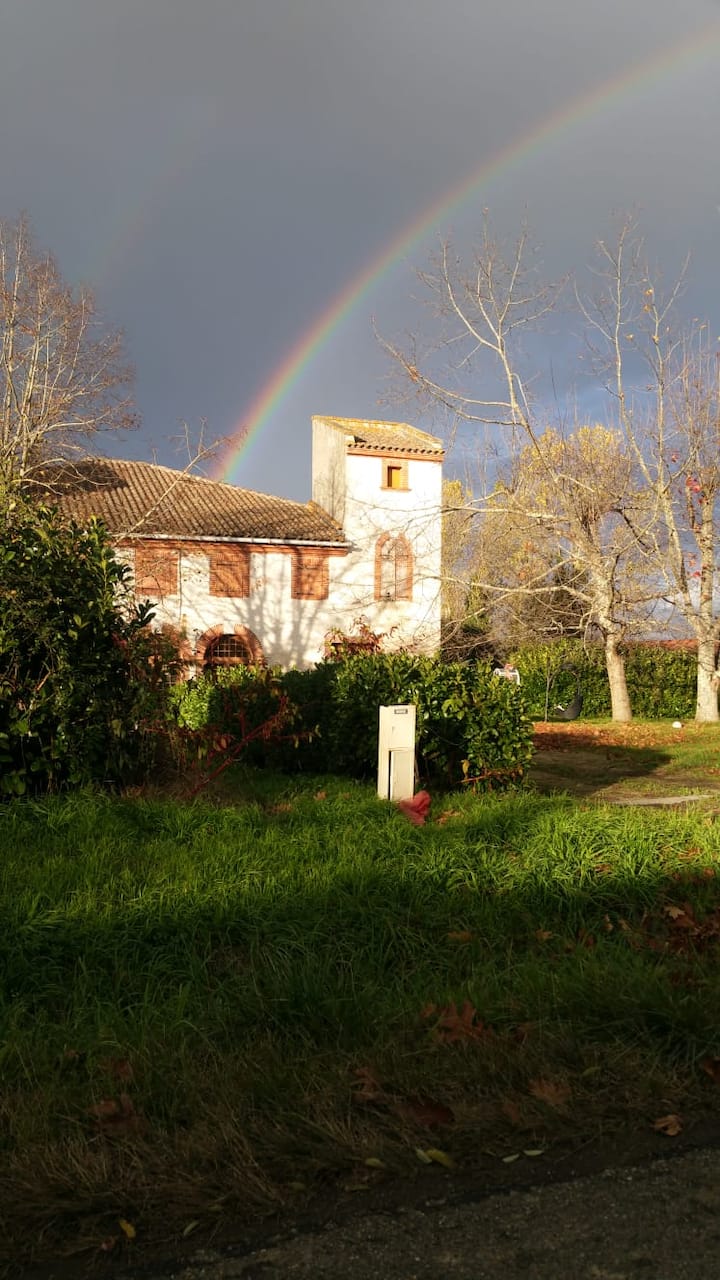 Agréable Chambre D'hôte
" La Chambre Des Secrets " - Moissac