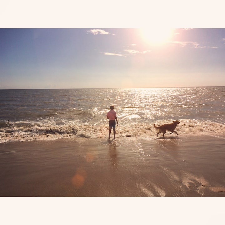 Seas The Day Rehoboth!  Flexible Rental - Dewey Beach, DE