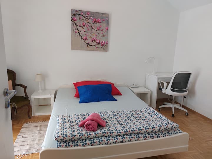 Chambre Mansardée Avec Grand Balcon - Genève