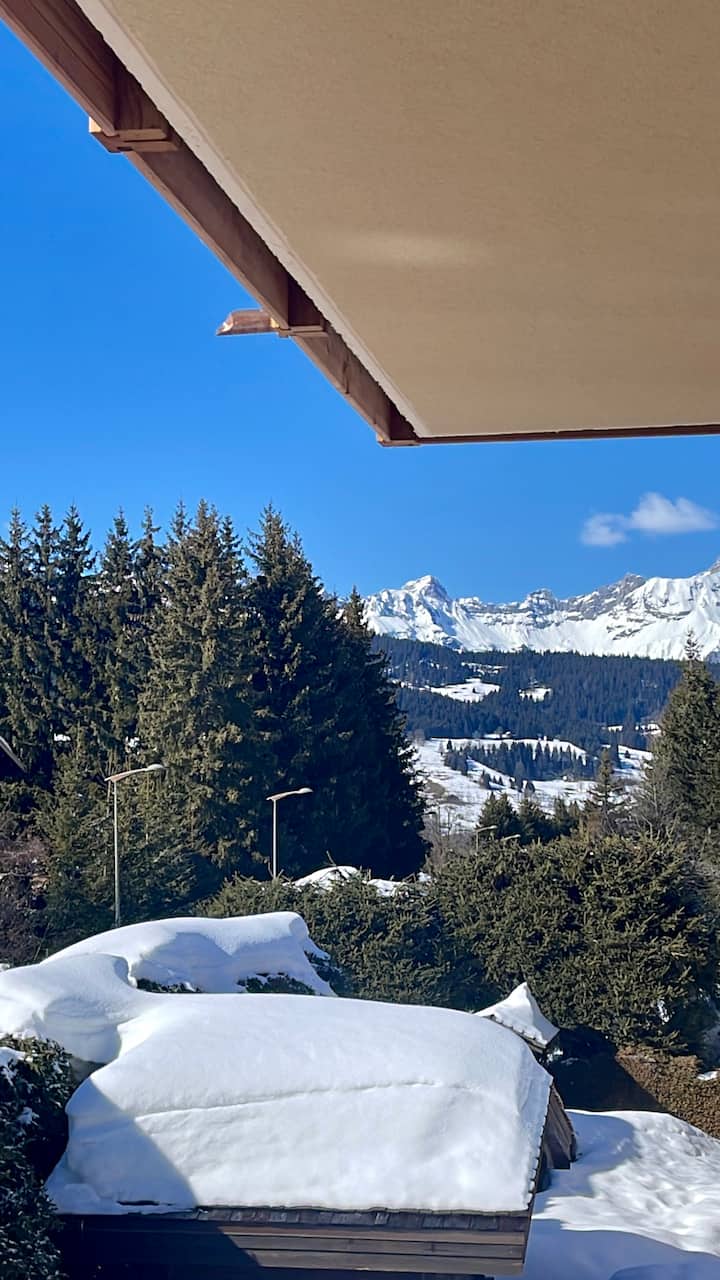Megeve - 2 To 8 People - Mont D'arbois - Megève