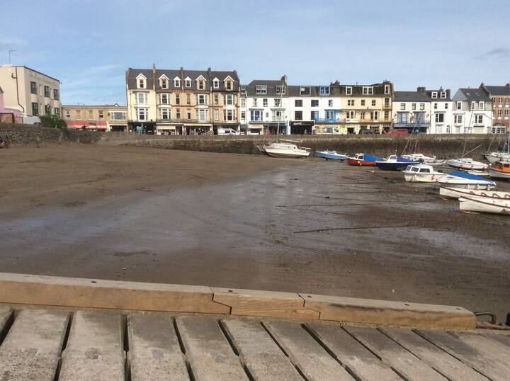 Pufflings Perch, Ilfracombe Harbour, 1 Bed Flat - Ilfracombe
