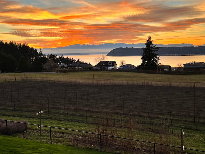 Bay View & Vineyard With Indoor Swim Spa/hot Tub - Washington