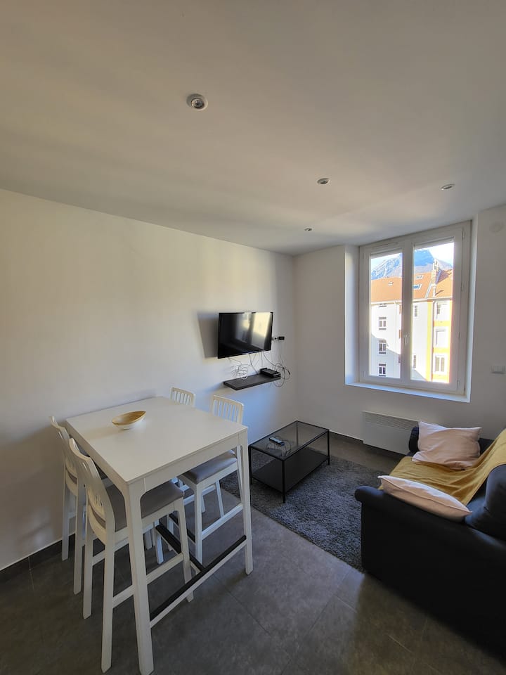 Lumineux Et Charmant Appartement à Grenoble - Grenoble