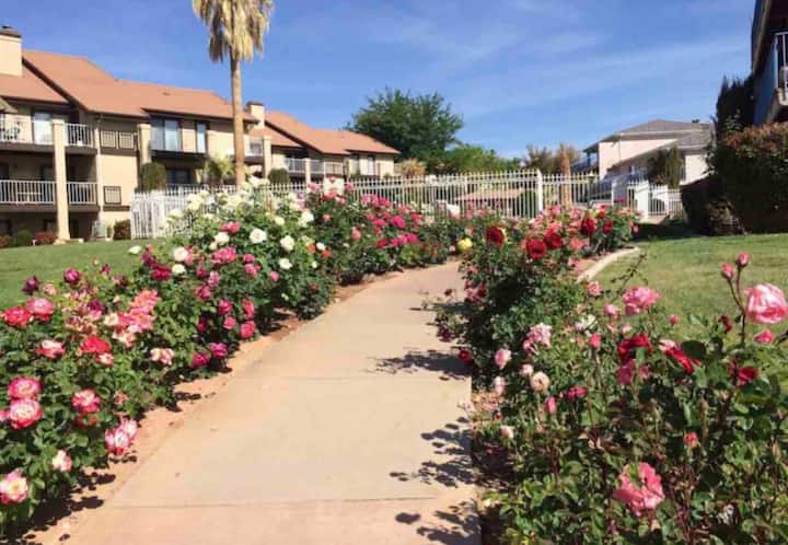 Great Getaway! 1 Bed- With Great Amenities! - St. George
